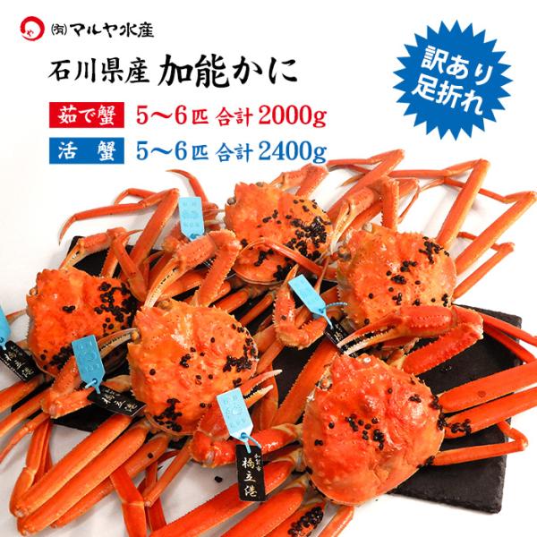 こちらの商品はお得な足折れのズワイガニから小さめのものを5〜6匹で合計2.0kg詰め合わせ、お得な送料無料でお届けします。足は1〜3本足りないですが、身や味噌はしっかりしておりますのでご安心下さい。足折れのズワイガニは足の揃っている蟹と比べ...