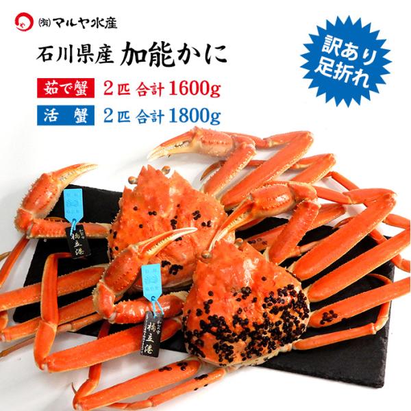 こちらの商品はお得な足折れのズワイガニから特大のものを2匹、お得な送料無料でお届けします。足は1〜2本足りないですが、身や味噌はしっかりしておりますのでご安心下さい。足折れのズワイガニは足の揃っている蟹と比べ2割〜3割程安値となりお買い得と...