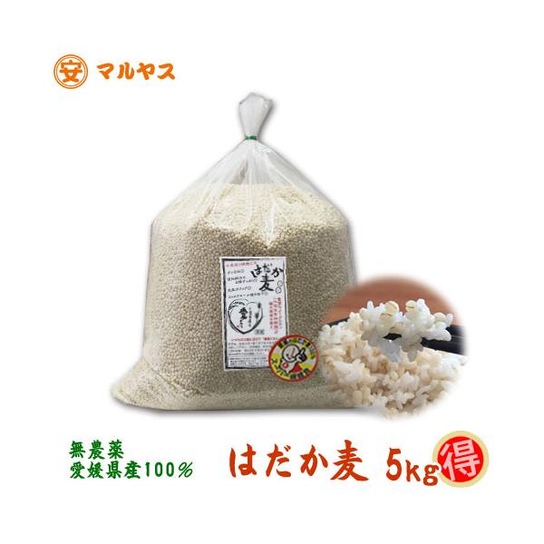 ■愛媛県産はだか麦100％生産量日本一を誇る愛媛県から直送。栽培期間中、農薬不使用で育てた安心・安全な大麦です。毎日食べるリピーター様や、ご家族の多いご家庭に最適な「5kg入り」のお徳用・業務用サイズ。重たい穀物を玄関までお届けします。■食...