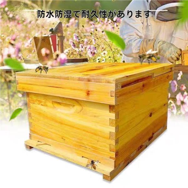 ★蜂の巣の完全なキット：10フレーム蜂の巣の完全なキット、簡単な組み立ては、非常に実用的な養蜂製品です。★専??門家や愛好家に最適：この蜜蜂巣箱、簡単な収穫の喜びを体験したい養蜂家や既存のハイブを持つハイブ愛好家に最適です。★ハニービーハイ...