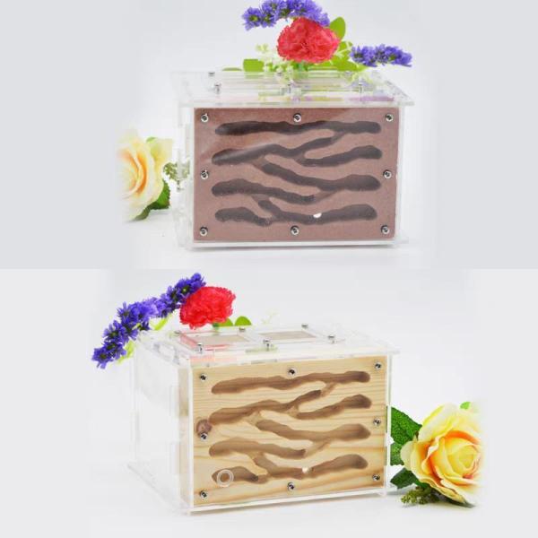 材質：高品質の木材+アクリル材料製、使用中の耐久性。サイズ：15 * 14 * 10cm / 5.9 * 5.5 * 3.9inAntsの行動を簡単に観察するために特別に設計されています、あなたは栄養価の高いアリ、仕事、そしてトンネルを和ら...