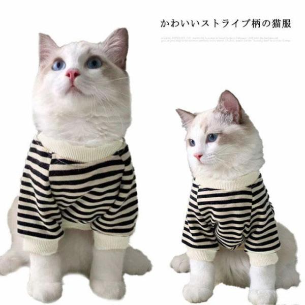 S 胴周り34　背丈24　参考体重1-2kg&amp;amp;lt;br&amp;amp;gt;M 胴周り39　背丈26　参考体重2-3kg&amp;amp;lt;br&amp;amp;gt;L 胴周り44　背丈29　参考体重3-4.5kg...