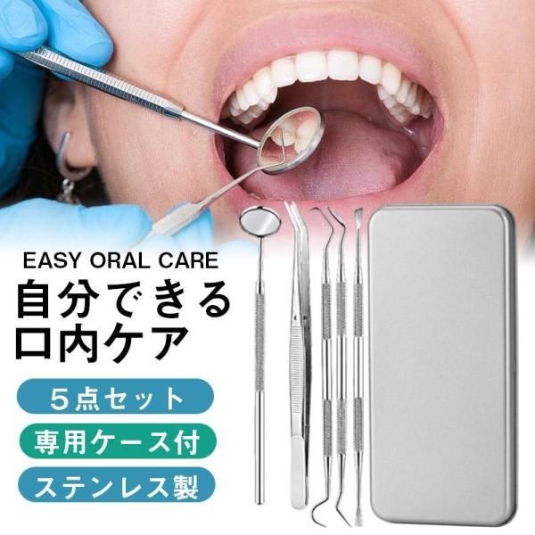 5点セット 歯石取り 歯石とり 器具 歯石除去 歯石 オーラルケア 歯垢 スケーラー 自分で取る ヤニ取り デンタルミラー 歯 犬 デンタルケア デンタルスケーラー高級ステンレス製歯用ツール、初心者向けセット。自宅で本格汚れ除去、充実の5点...