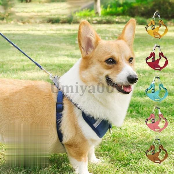 商品情報カラー イエロー レッド ピンク グリーン ブラウン ブルーサイズ  重さ（g） 胴回り（cm） 首回り（cm） コード長さ*幅（cm） XXS     123g      41cm        31cm　　　　  140*1.6...