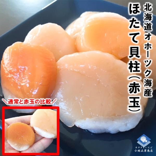 【名称】ほたて貝(貝柱）　【保存方法】要冷凍（-18℃以下で保存してください。）【加熱調理の必要性】加熱の必要はございません。　【冷凍時賞味期限】2027年1月【産地】北海道オホーツク海　【内容量】1kg　【規格】赤玉　【荷姿】発泡スチロール