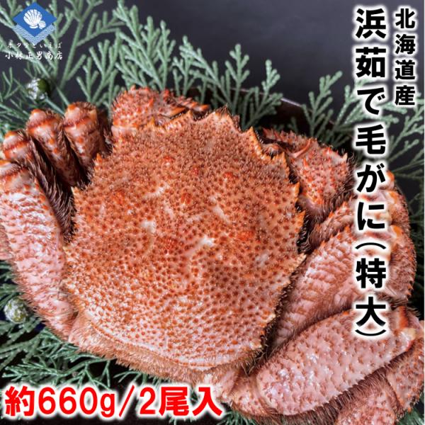【名称】冷凍ボイル毛ガニ　【原材料名】毛ガニ、食塩　【保存方法】要冷凍（-18℃以下で保存してください。）【加熱調理の必要性】加熱の必要はございません。【冷凍時賞味期限】2027年02月（解凍後はお早目にお召し上がりください）【産地】北海道...