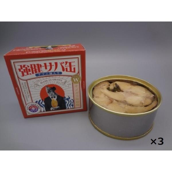 福井缶詰 強健サバ缶（さば油漬け）アマニ油入り 90g×3個セット 送料無料缶詰,さば,鯖缶,ノルウェー,オメガ3脂肪酸,アマニ油,サラダ,パスタ,健康,レパートリー,ギフト,贈り物,食卓