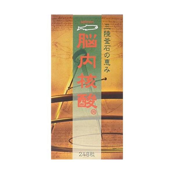 脳内核酸　248粒入り サプリメント 内容量：59.52g（240mg×248粒）