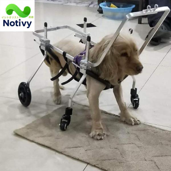 犬用歩行器 親友 - 犬車椅子調節可能な4輪ステンレス鋼カートペット/猫犬車椅子後肢障害者用リハビリテーション 犬用車椅子
