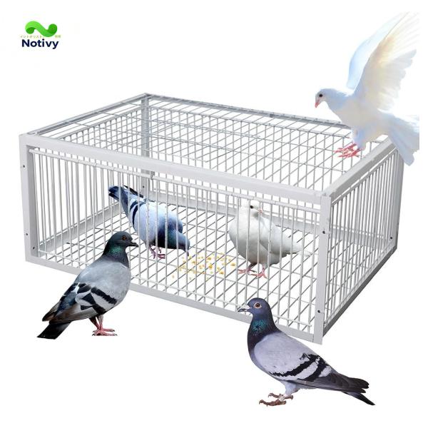【4面ドア設計】4つの入口がある鳩かごは、さまざまな方向から鳥が入りやすくなっています。これにより、鳩かごの成功率が大幅に向上します。鳥かごトラップは、動物が一人で出入りできないようにするために、一方通行の入り口人道的な方法を採用しています...
