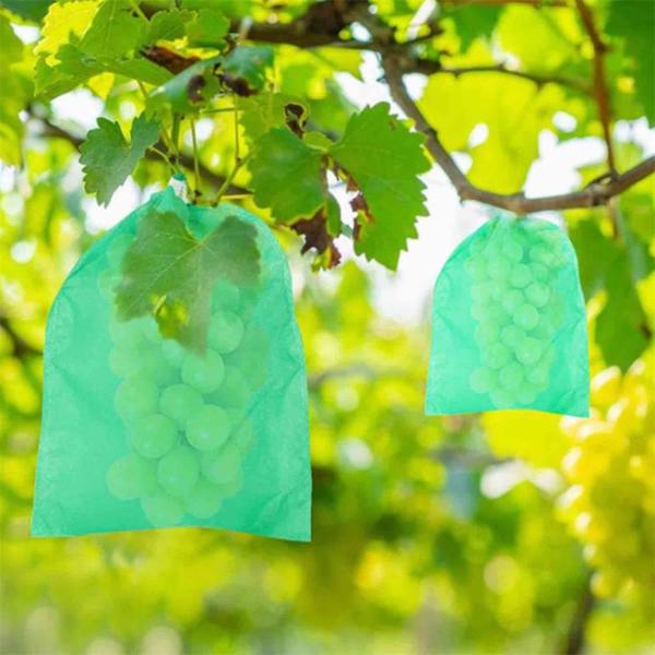 【果物保護ネット】この果物保護バッグは、オールシーズン使用可能。植物、果物、野菜、花などを鳥や害虫から守ります。枝にしっかり固定でき、強い風の日でも、風で吹き飛ばされません。これを付けてからは被害がなくなりました。【害虫鳥避け】果物保護袋は...