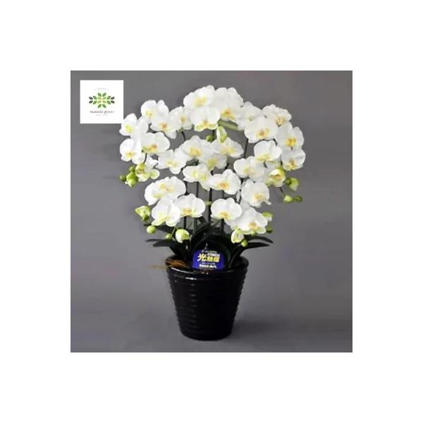 光触媒で脱臭・殺菌・空気清浄してくれるインテリアとしても上品な美しい胡蝶蘭の造花です。 胡蝶蘭の花言葉は「幸福が飛んでくる」と言われているほど、大変縁起の良いお花です。 昔からお祝い事やプレゼントなどに幅広く用いられ、たくさんの人々の幸せを...