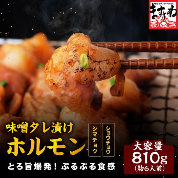 ★1〜5日、11〜15日、21〜25日、50%OFFクーポン発行！★焼肉、キャンプ、BBQ、ホルモン焼きや野菜炒めの具材、ホルモン焼きうどん、ホルモン焼きそばなどに♪■商品内容・ホルモン味噌たれ漬け6人前 約810g〜840g（うち、タレ1...