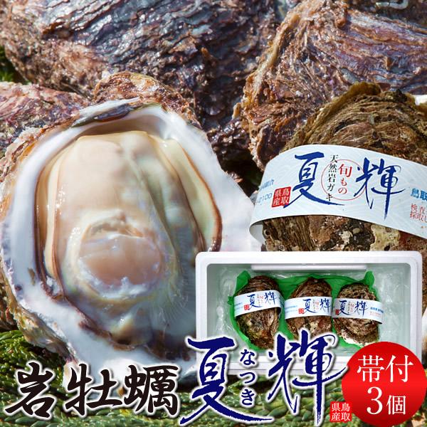 【お届けについて注意事項】6月上旬から順次〜8月上旬迄※岩牡蠣は悪天が続き漁が中止となった場合は発送を見送らせて頂く場合もございます。ご注文日より最短ご希望の場合は、約7日後に出荷予定でございます。当店より通常商品出荷後の夕方頃に「発送連絡...