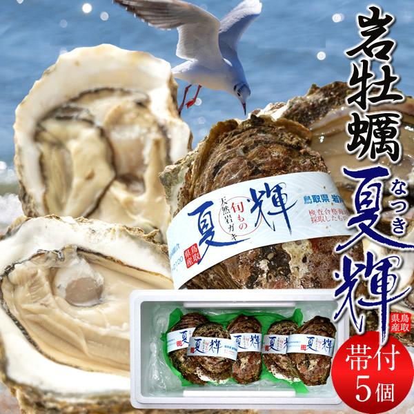 【お届けについて注意事項】6月上旬から順次〜8月上旬迄※岩牡蠣は悪天が続き漁が中止となった場合は発送を見送らせて頂く場合もございます。ご注文日より最短ご希望の場合は、約7日後に出荷予定でございます。当店より通常商品出荷後の夕方頃に「発送連絡...