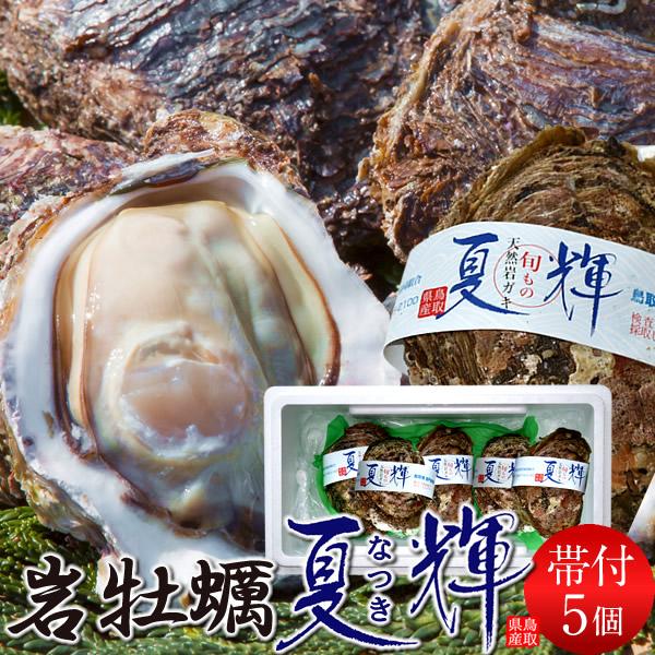 【お届けについて注意事項】6月上旬から順次〜8月上旬迄※岩牡蠣は悪天が続き漁が中止となった場合は発送を見送らせて頂く場合もございます。ご注文日より最短ご希望の場合は、約7日後に出荷予定でございます。当店より通常商品出荷後の夕方頃に「発送連絡...