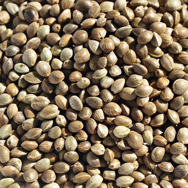 ■名　称：ヘンプシード■賞味期限：270日■保存方法：高温多湿、直射日光を避けて保管してください。■内容量：1kg■原産地：中国■製造者：有限会社松葉屋　東京都台東区上野6-10-1