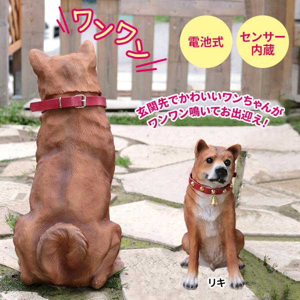 わんわんリキ ＆ ビッグリキ 玄関先でかわいいワンちゃんが ワンワン鳴いてお出迎え！ 柴犬 ガーデンオブジェ 明暗感知センサー内蔵 昼間は影に 夜は光に反応 防犯対策にもおすすめ ■商品詳細玄関先でかわいいワンちゃんがワンワン鳴いてお出迎え...