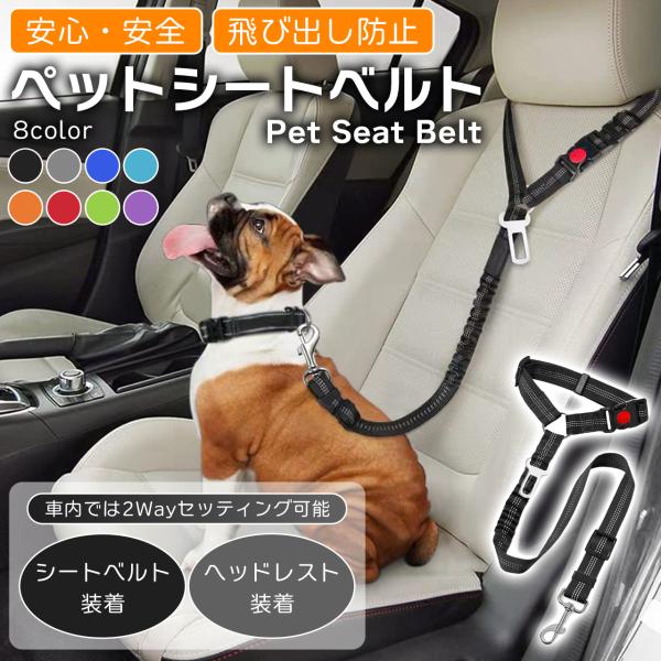 大事なペットと安心して車でドライブができる、首輪・ハーネスです