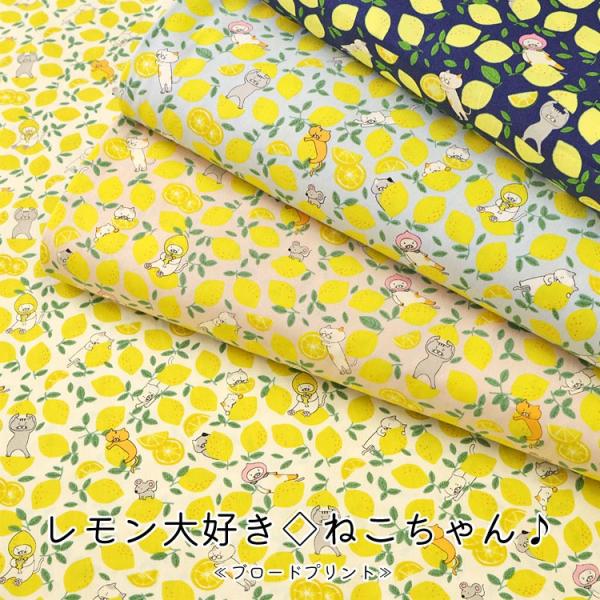 １１０ｃｍ幅　コットン１００％ ＜５０ｃｍ単位＞表示価格は５０ｃｍの価格です。メール便での発送は３ｍ（数量６）まで。 生地は、扱いやすいブロードです。ワンピースやチュニック、ブラウスなどのお洋服や見返し、エプロンや小物、インテリアなどオール...