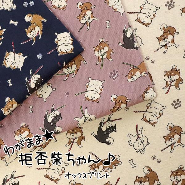 １１０ｃｍ幅　コットン１００％＜５０ｃｍ単位＞表示価格は５０ｃｍの価格です。メール便での発送は２ｍ（数量４）まで。ボタンの大きさは２ｃｍ。生地は、やや薄手でしっかりとしたオックス。バッグやポーチなどの小物、エプロン、入園入学グッズなどにどう...