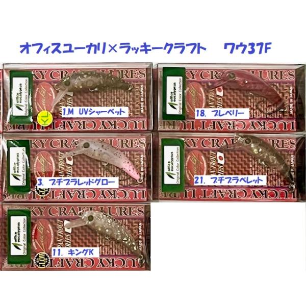 ※クリックポストでの発送となります商品代引きはご利用いただけません郵便受けへの配達となりますオフィスユーカリ×ラッキークラフトコラボカラーフローティング2.3g37mm