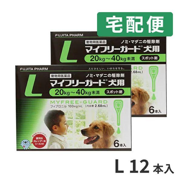 リニューアルに伴い、予告なくパッケージや内容等変更する場合がございます。予めご了承ください。※使用期限：2027/12/31目安（02月現在）※ご注文のタイミングにより、お届けする商品の期限が前後する場合がございます。  マイフリーガード ...