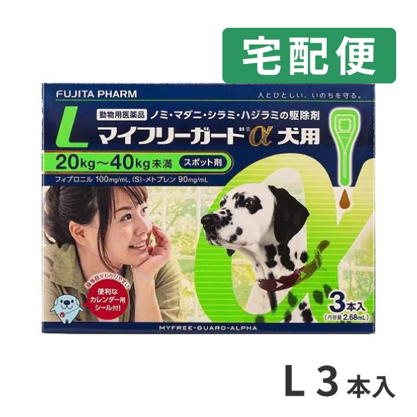 リニューアルに伴い、予告なくパッケージや内容等変更する場合がございます。予めご了承ください。※使用期限：2027/12/31目安（12月現在）※ご注文のタイミングにより、お届けする商品の期限が前後する場合がございます。マイフリーガードα 犬...
