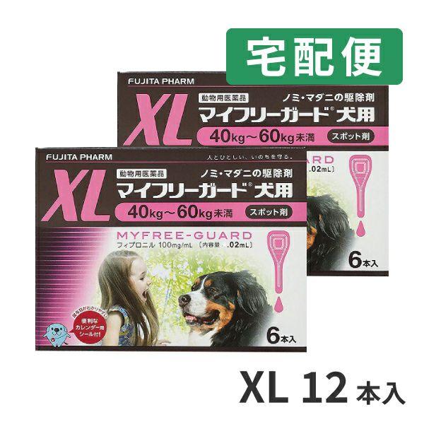 リニューアルに伴い、予告なくパッケージや内容等変更する場合がございます。予めご了承ください。※使用期限：2028/07/31目安（01月現在）※ご注文のタイミングにより、お届けする商品の期限が前後する場合がございます。  マイフリーガード ...