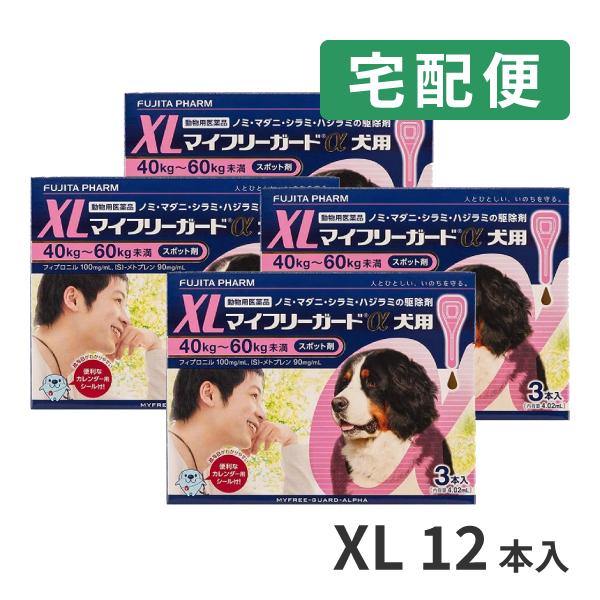 リニューアルに伴い、予告なくパッケージや内容等変更する場合がございます。予めご了承ください。※使用期限：2028/09/30目安（03月現在）※ご注文のタイミングにより、お届けする商品の期限が前後する場合がございます。 マイフリーガードα ...