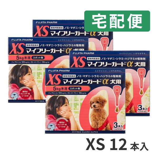 リニューアルに伴い、予告なくパッケージや内容等変更する場合がございます。予めご了承ください。※使用期限：2028/06/30目安（01月現在）※ご注文のタイミングにより、お届けする商品の期限が前後する場合がございます。  マイフリーガードα...