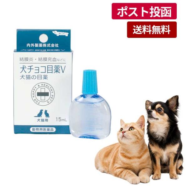 ※使用期限：2029/06/30目安（06月現在）※ご注文のタイミングにより、お届けする商品の期限が前後する場合がございます。