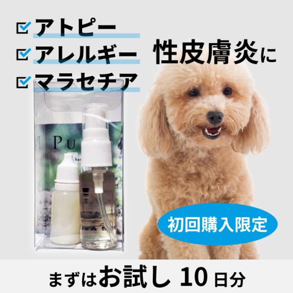 【初回購入限定】※過去にご購入がある方は、キャンセルさせていただきます。ご了承ください。リニューアルに伴い、予告なくパッケージや内容等変更する場合がございます。予めご了承ください。※使用期限：2027/06/30目安（01月現在）※ご注文の...