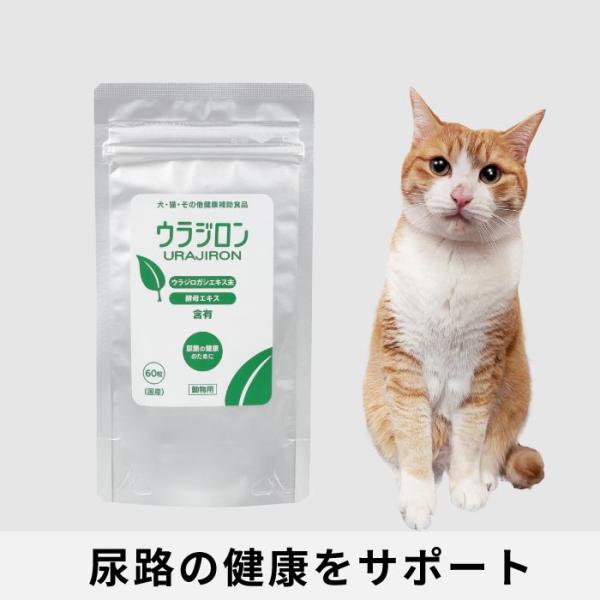 リニューアルに伴い、予告なくパッケージや内容等変更する場合がございます。予めご了承ください。※賞味期限：2028/04/30目安（03月現在）※ご注文のタイミングにより、お届けする商品の期限が前後する場合がございます。