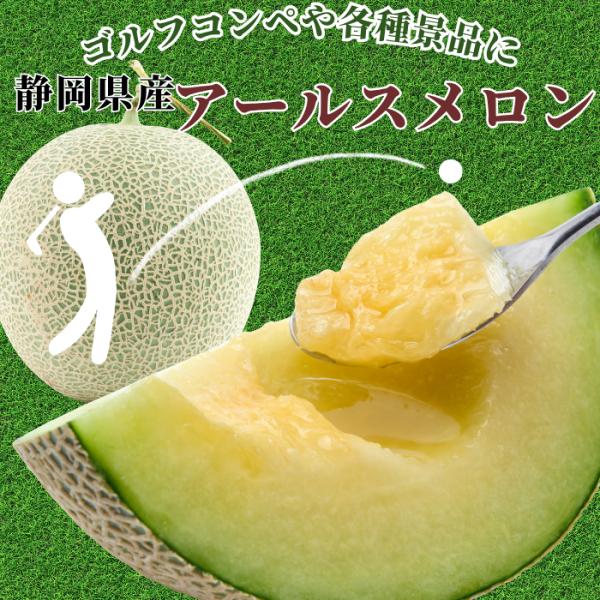名称 コンペ・景品に　箱入りメロンセット内容 メロン×1玉