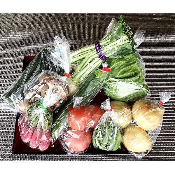 厳選した宮城県産の野菜をお届けいたします。７〜１0種類の野菜が入ります。自然豊かな土地で育てた野菜をご堪能下さい。※発送日については、生鮮品のため、前後する場合がございますのでご了承ください。※写真の野菜はイメージです。ご注文時期により中身...