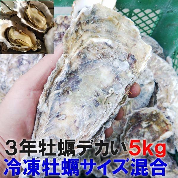 商品説明は熟読願います。３年牡蠣になりますので全体的にデカいです！Ｓ、Ｍ、Ｌ、LLのサイズ混合になります。粒数の記載はしません。あくまでキロ売りです。 冷凍時期が6月上旬から8月までですので時期によってのバラツキはございます。大型冷凍庫に預...