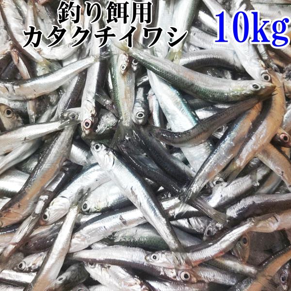 釣り餌用のカタクチイワシです。【1kgずつ小分け目安 1kgあたり245匹】　鮮度が悪いものは除去しておりますが多少鮮度が悪いものが混じってしまう場合があります。特にカタクチイワシは腹割れが他のマイワシ、鯵に比べて多くなってしまいます。沖縄...