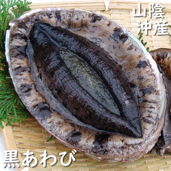 ●商品内容　兵庫県浜坂産 黒アワビ（生）　1個　約150-200ｇ前後　●即日発送（在庫切れの場合は入荷次第）●賞味期限　商品到着後：冷蔵保存（野菜庫）で2日。　※お刺身は当日中にお召し上がりください。  ●お召し上がり方　お刺身、煮付け、...