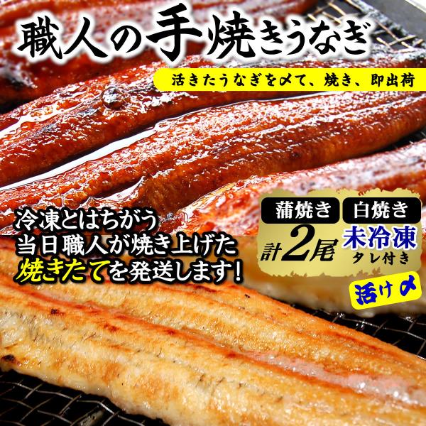 出荷日：６月１８日（木）〜６月２２日（月）出荷予定　※期間中で希望日がある場合は備考欄にお書き添えください国産の養殖うなぎを活きたまま仕入れ、発送直前に社長自らが、捌き、焼いた鰻をお届けします。直前まで、ピンピン活きていた焼きたてを出荷いた...