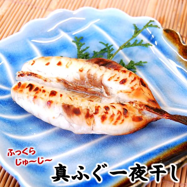 ふっくらジューシー!!味付けは天然塩のみでシンプル仕上げ。酒の肴に絶品！兵庫県浜坂産　真ふぐ一夜干し（冷凍）大　２尾入（480-510ｇ前後）原材料：真フグ（兵庫県産）、塩賞味期限：冷凍保存で1ヶ月お召し上がり方：焼いてお召し上がり下さい※...