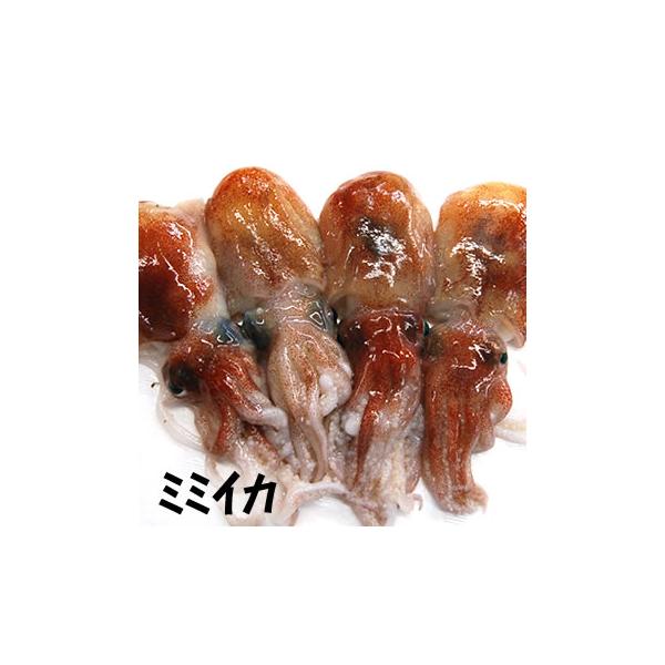 ◆商品内容　浜坂産 耳いか（冷凍）小中サイズ混ざり　500ｇ前後（12-19匹入）　目安として、主に胴寸が4-5ｃｍ程度のものです。　※小さいサイズなので、子がないものが多いです。◆賞味期限　解凍前：冷凍保存で3ヶ月、解凍後：冷蔵保存で2日...