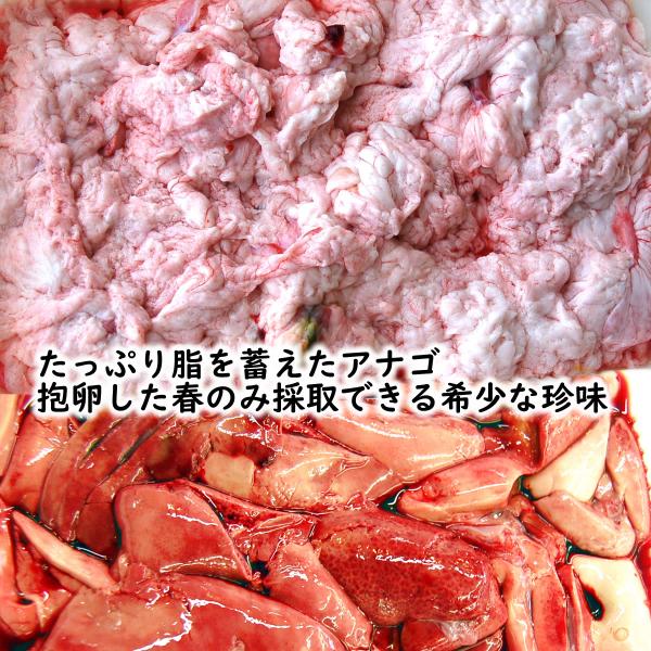 水深の深い所に生息していた穴子は水温が低いため、体にたっぷりの脂を蓄えています。その脂がのった穴子のお腹から取り出した「子（卵）と肝部分」を掃除してパックしました。この「子（卵）と肝部分」というのは一年で春しか取れない希少な珍味です。よく洗...