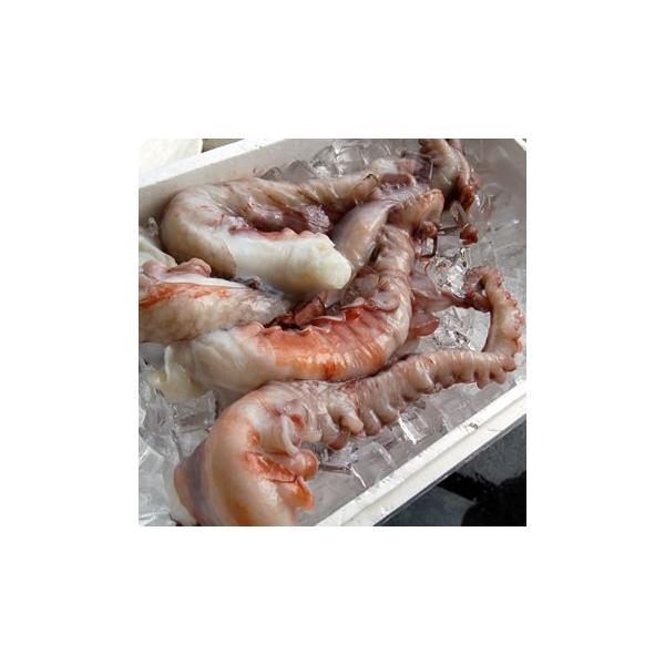 ◆商品内容　浜坂産　水たこ足（生冷凍）　特大　1本　約900-990ｇ前後　※長期保存可能な真空パック入り◆賞味期限　 解凍前：冷凍保存で1ヶ月　解凍後：冷蔵保存で2日  ◆お召し上がり方　 解凍後、スライスしてお刺身、しゃぶしゃぶに、茹で...