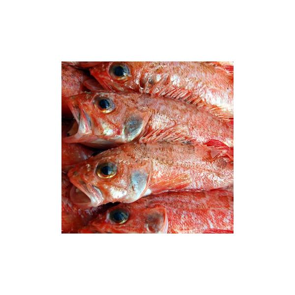 ◆商品内容　浜坂産　夢カサゴ（下処理済・冷凍）小　250ｇ（2-4尾程度入り）（調理後の重さを表示）◆賞味期限　解凍前：冷凍保存で1ヶ月　解凍後：冷蔵保存で2日 ◆お召し上がり方　流水解凍後、煮付け、塩焼き、から揚げ　他 ◆【冷凍商品とは同...