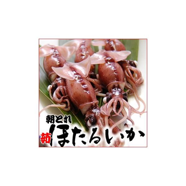 ◎この商品は、予約商品で、入荷次第の発送となります。◎他の商品とは同梱できません。●商品内容兵庫県浜坂産　茹でほたるいか　約500g（目安：約110〜130匹程度入）※１〜3月初旬ごろのものは粒が小さいので記載より匹数が多い場合がございます...