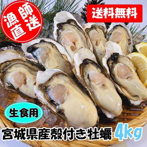 【発売日：2021年10月09日】宮城県松島産の牡蠣となります。世間と比べるとかなり小ぶりですが、その分甘味が強いのが特徴です！ご注文する際は、以下5点を了承した上でご注文ください。■注意事項・可能な限り不純物やその他海洋生物を除去しており...