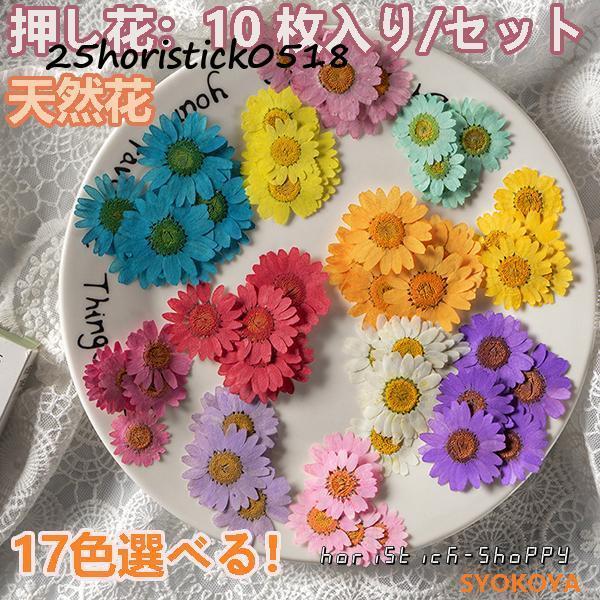 [ セット内容 ]押し花：10枚入り「記載のないアクセサリー、小物等は付属しません」[ カラー ]ホワイト/イエローA/イエローB/ピンクA/ピンクB/ライトピンク/パープル/ライトパープル/ピンクC/サファイア/ブルー/ライトブルー/グリ...