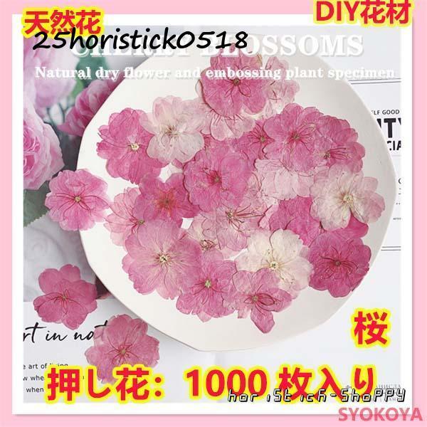 [ セット内容 ]押し花：10枚入り「記載のないアクセサリー、小物等は付属しません」[ カラー ]ピンク（加工後色）/ローズ（天然原色）【素材】本物の押し花自然の草花を乾燥させ「押し花」に加工処理しました。フラワーアレンジメントやウェルカム...