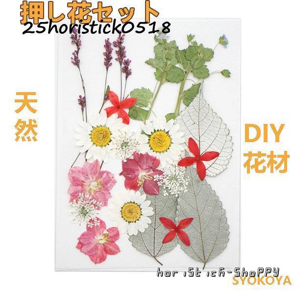 [ セット内容 ]押し花：21枚入り（天然色）「記載のないアクセサリー、小物等は付属しません」[ カラー ]写真をご参考ください【素材】本物の押し花自然の草花を乾燥させ「押し花」に加工処理しました。フラワーアレンジメントやウェルカムボード、...